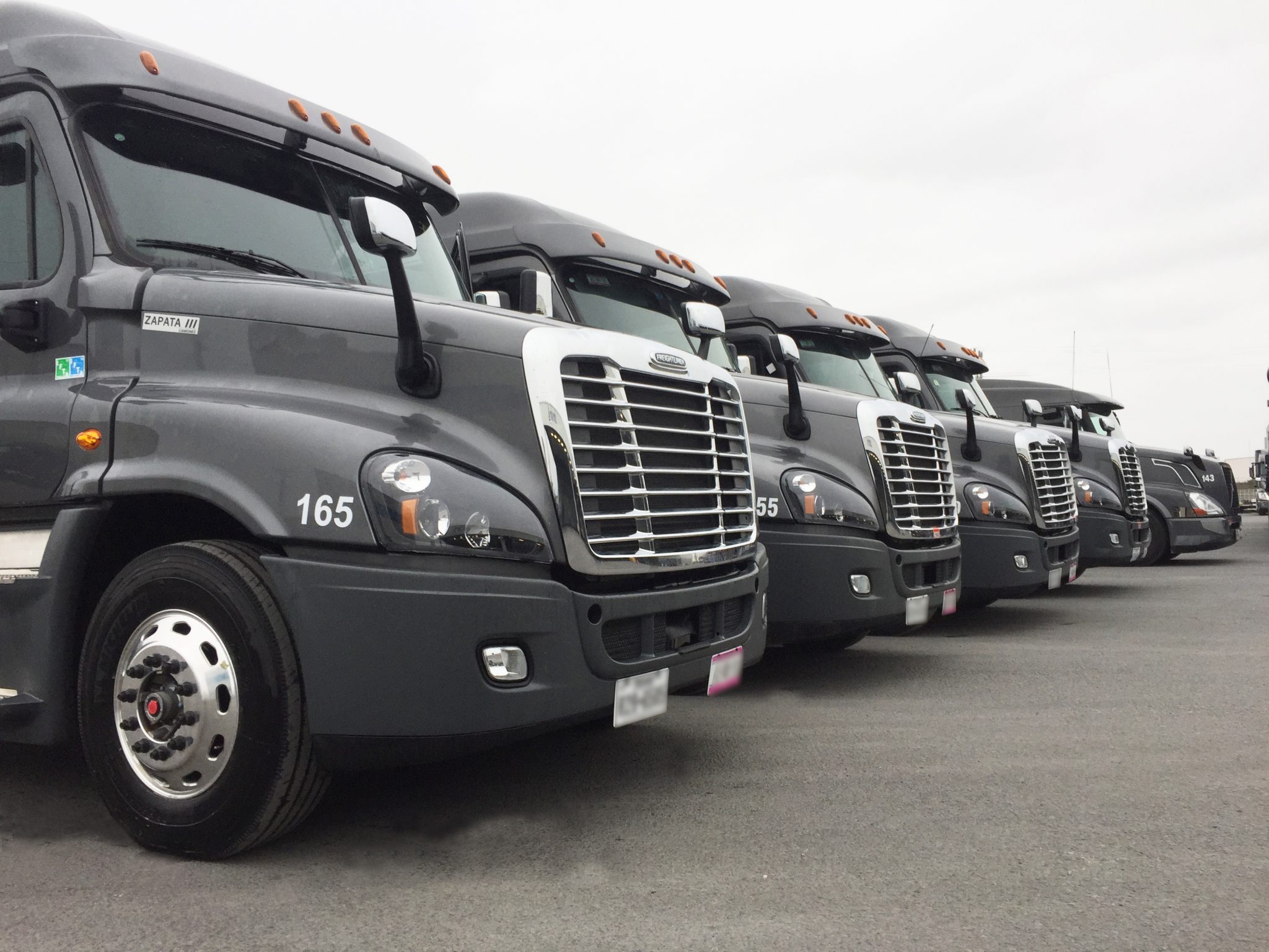 Company - Olympic Transport